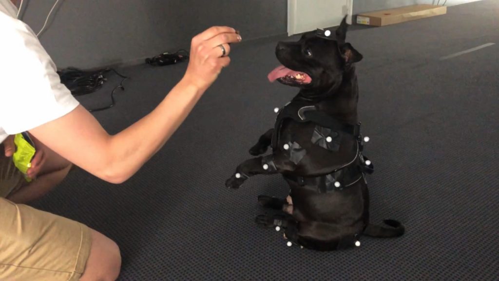 The story behind Uuno the dog. - PayneReactor